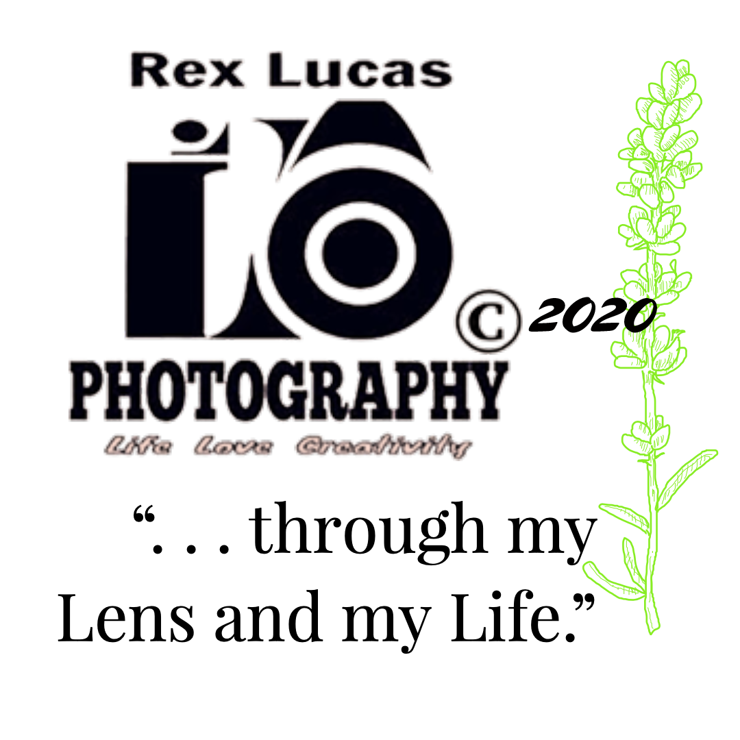 Rex Lucas CPP - Official Website